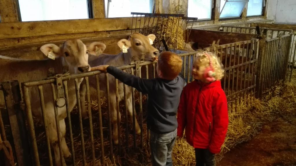 Besuch am Bauernhof - Seetals Kinderwelt - Alpin Family Resort Seetal